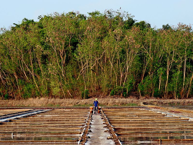 The Salt Farm | Smithsonian Photo Contest | Smithsonian Magazine