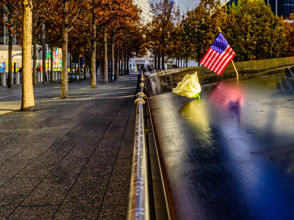 White Rose and 911 Memorial | Smithsonian Photo Contest | Smithsonian ...