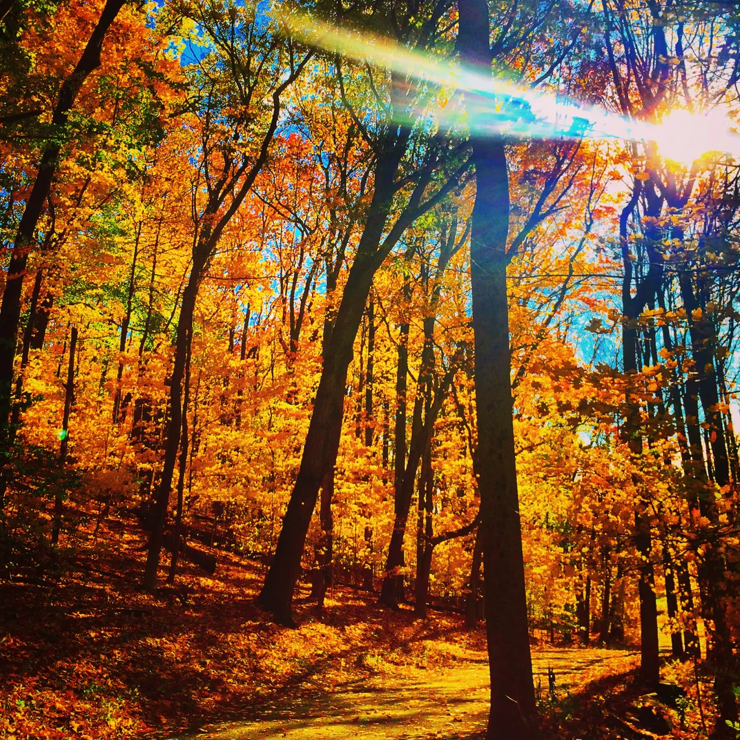 A fall day at Lehigh Parkway | Smithsonian Photo Contest | Smithsonian ...