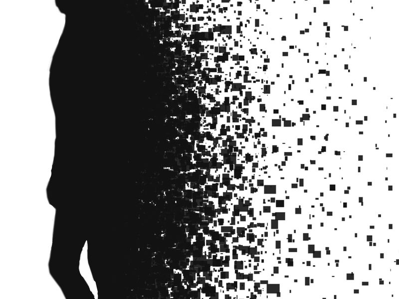 Silhouette slowly fading away. | Smithsonian Photo Contest ...