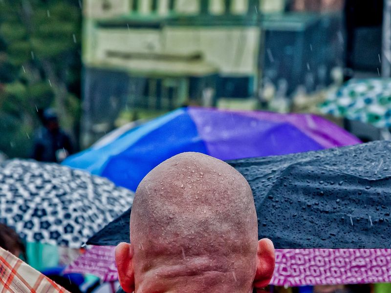 bald head in rain | Smithsonian Photo Contest | Smithsonian Magazine