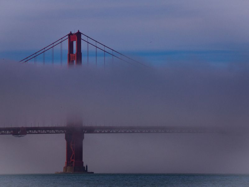Golden Gate Bridge in Fog | Smithsonian Photo Contest | Smithsonian ...