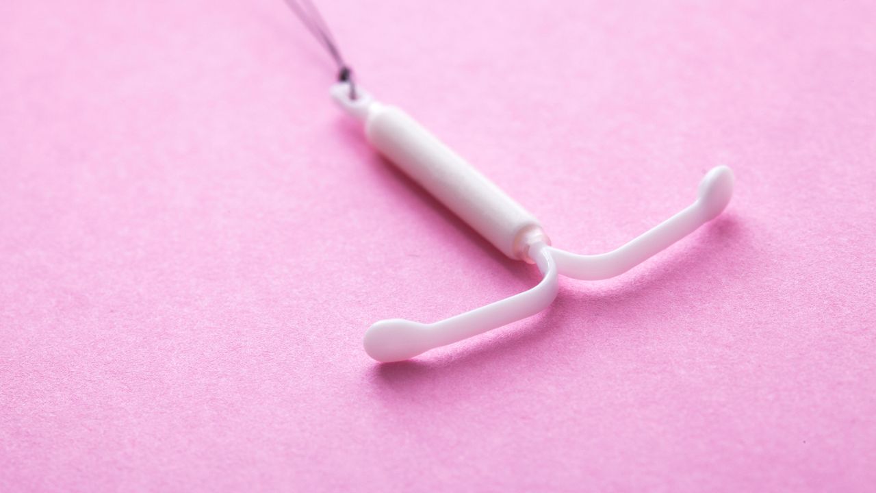 Historical Iud Shapes