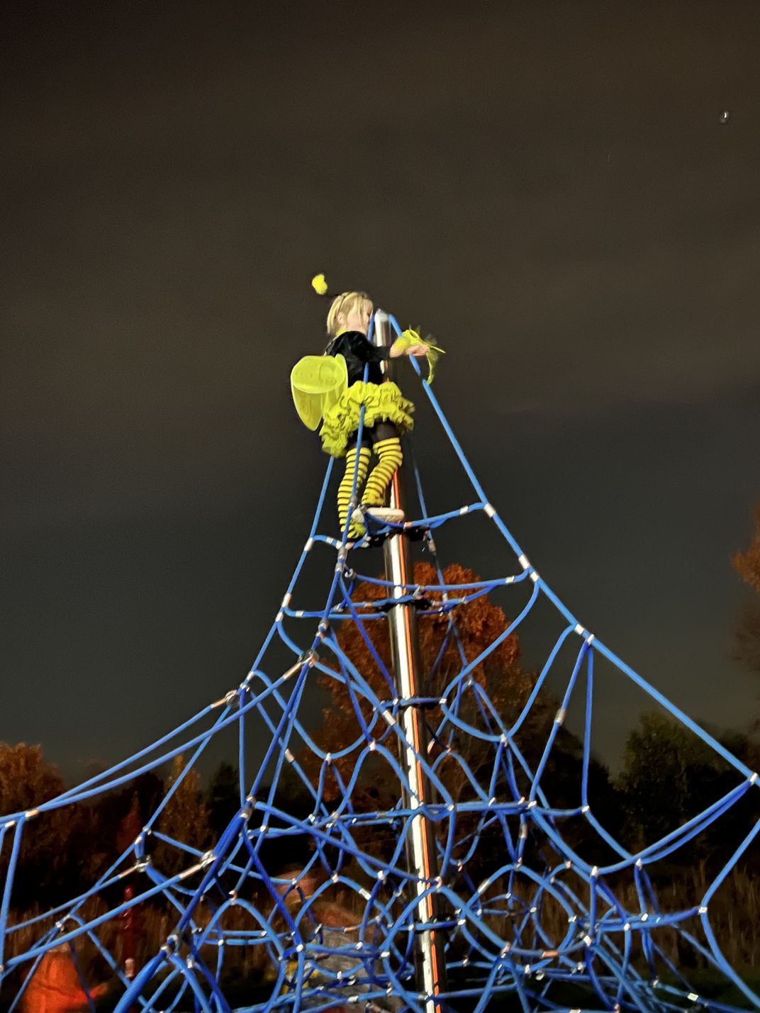 Halloween Bumblebee Conquering a Web | Smithsonian Photo Contest ...