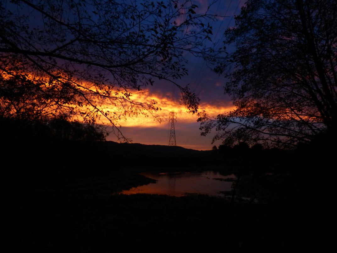 SunFire though the trees | Smithsonian Photo Contest | Smithsonian Magazine