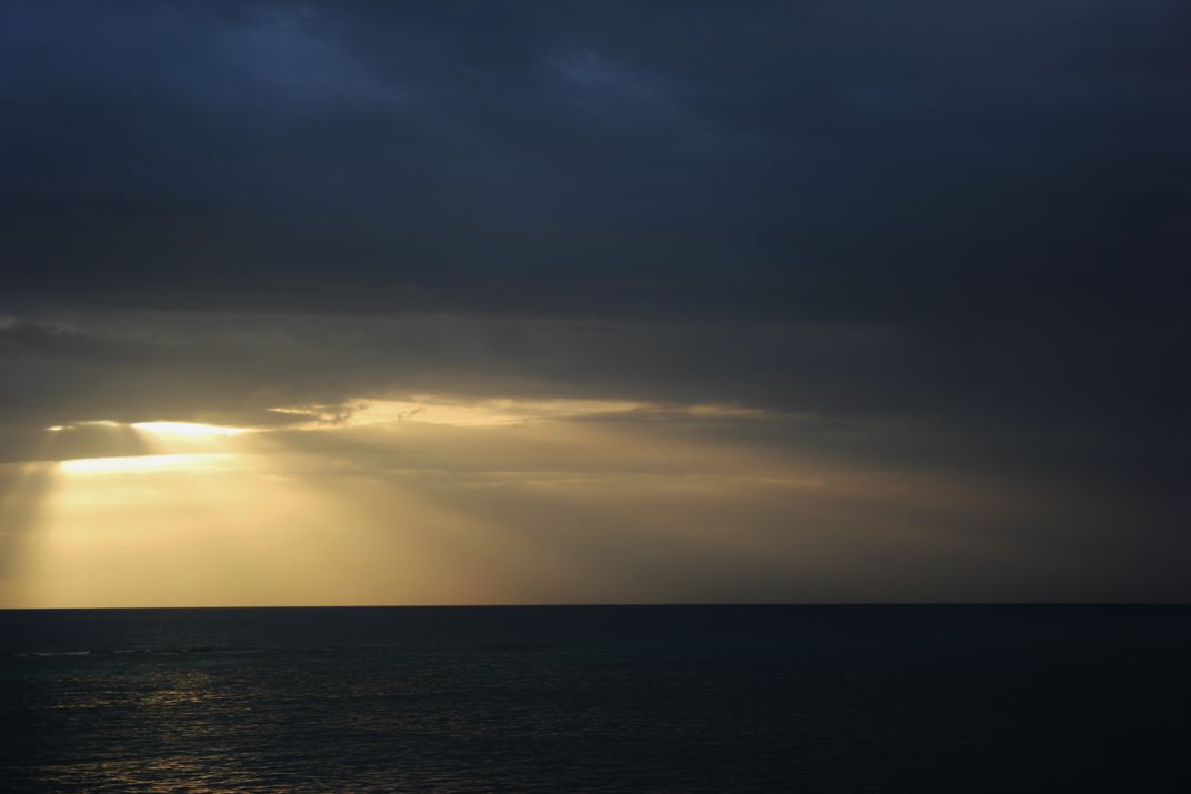 Golden Light | Smithsonian Photo Contest | Smithsonian Magazine