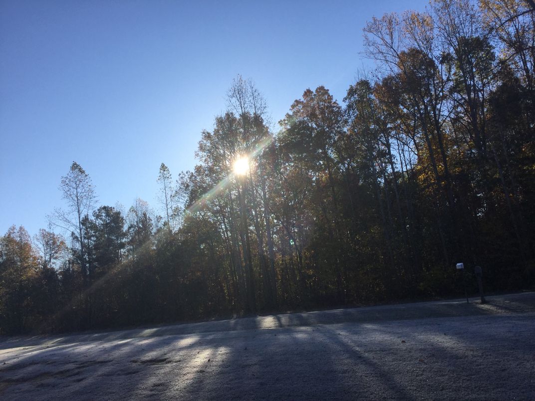 The Bright Cold | Smithsonian Photo Contest | Smithsonian Magazine