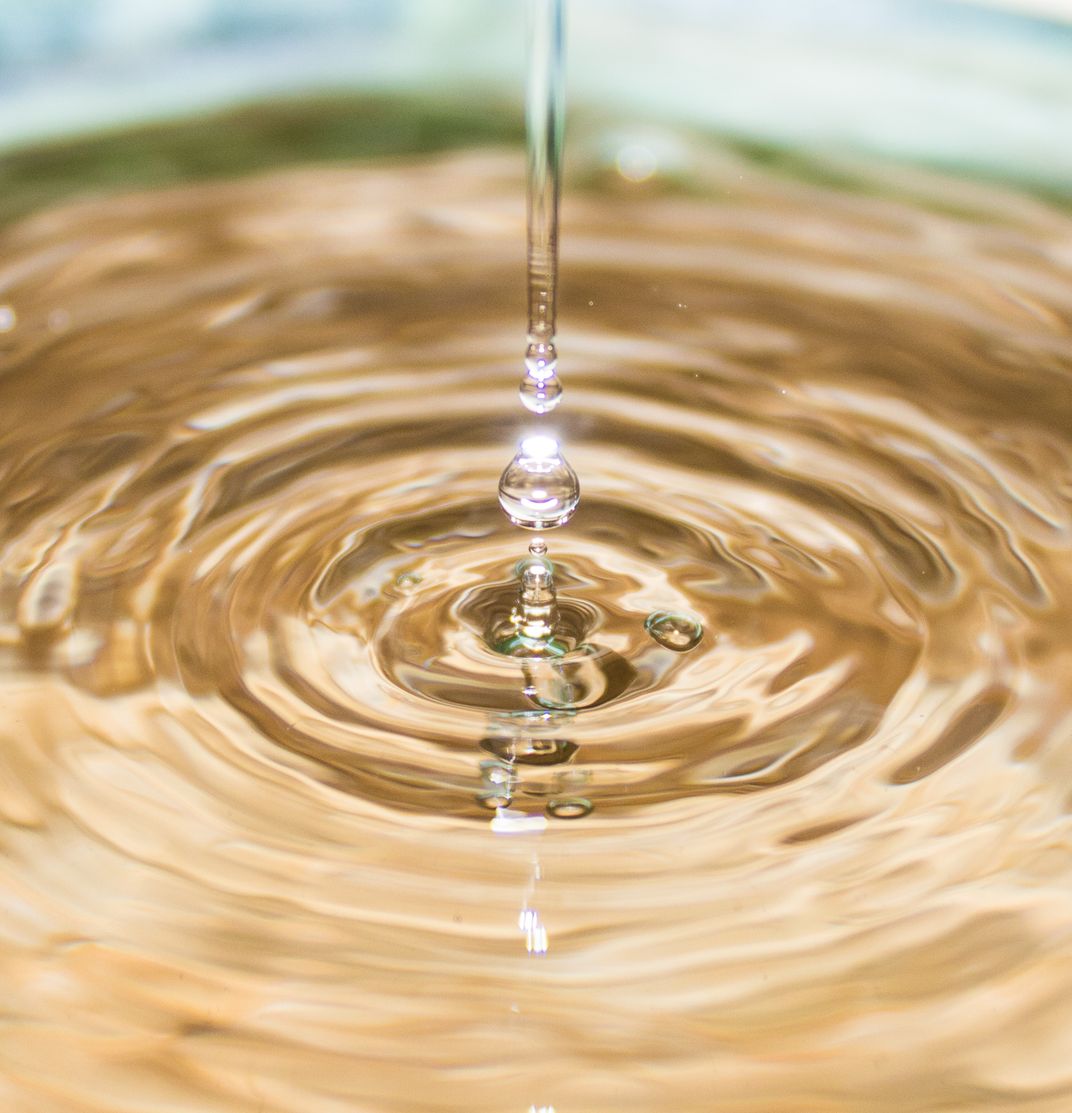 A stream of water reflecting light. | Smithsonian Photo Contest ...
