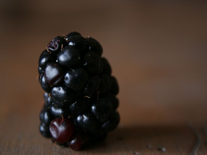 Sad Blackberry | Smithsonian Photo Contest | Smithsonian Magazine
