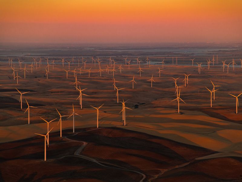Wind Fields | Smithsonian Photo Contest | Smithsonian Magazine