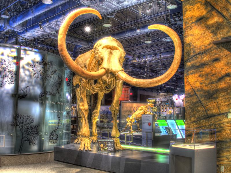 The Wooly Mammoth Lives! | Smithsonian Photo Contest | Smithsonian Magazine