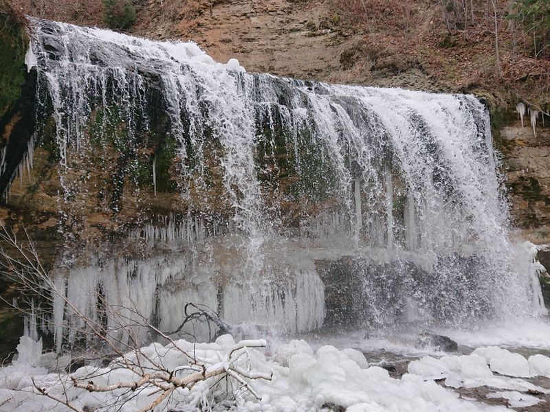 Cold Fall Day | Smithsonian Photo Contest | Smithsonian Magazine