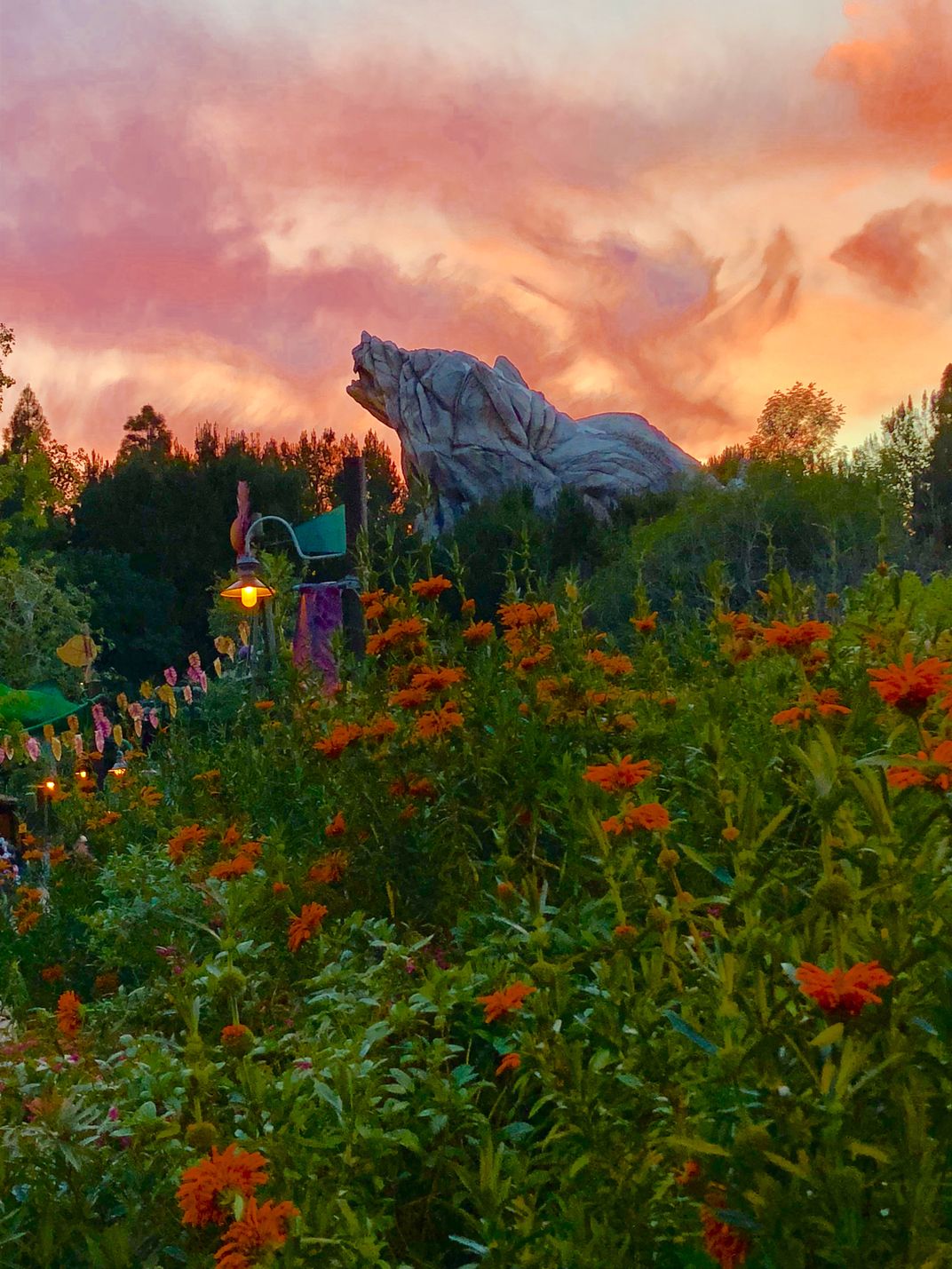 A Grizzly sunset at Disney’s California Adventure | Smithsonian Photo ...