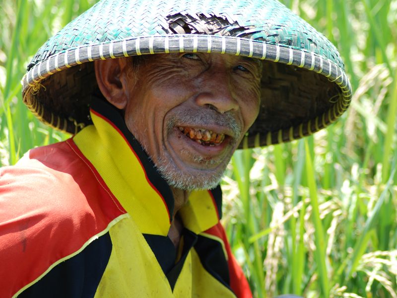 A man working in a rice paddy | Smithsonian Photo Contest | Smithsonian ...