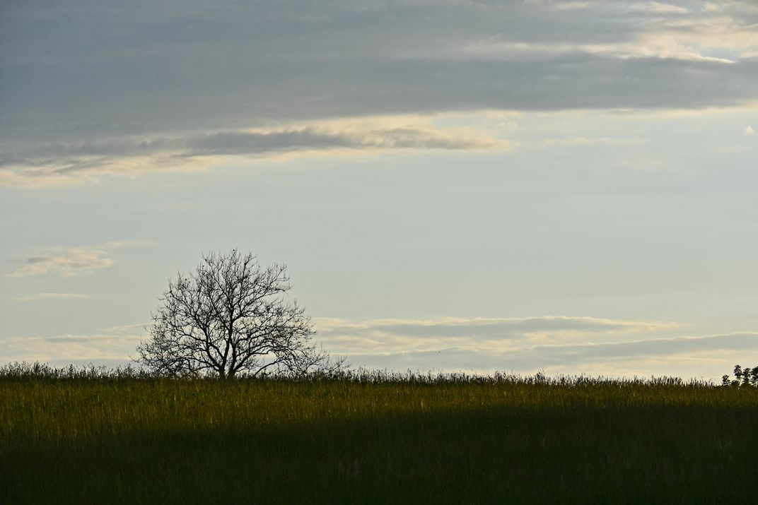 Landscape at Brightside Farm Park | Smithsonian Photo Contest ...