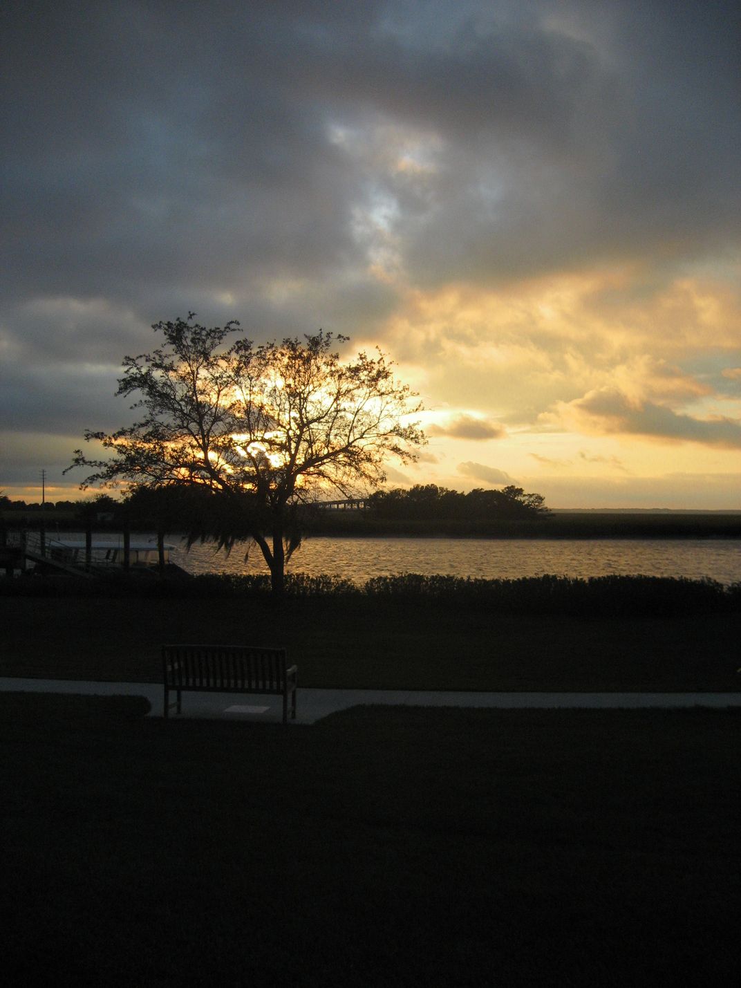tree in front of sunset | Smithsonian Photo Contest | Smithsonian Magazine