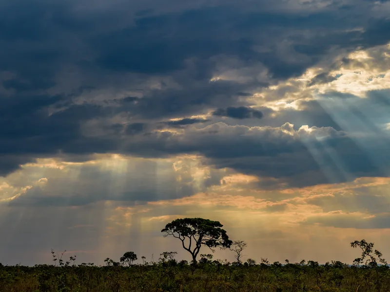 Brazilian savannah lights | Smithsonian Photo Contest | Smithsonian ...