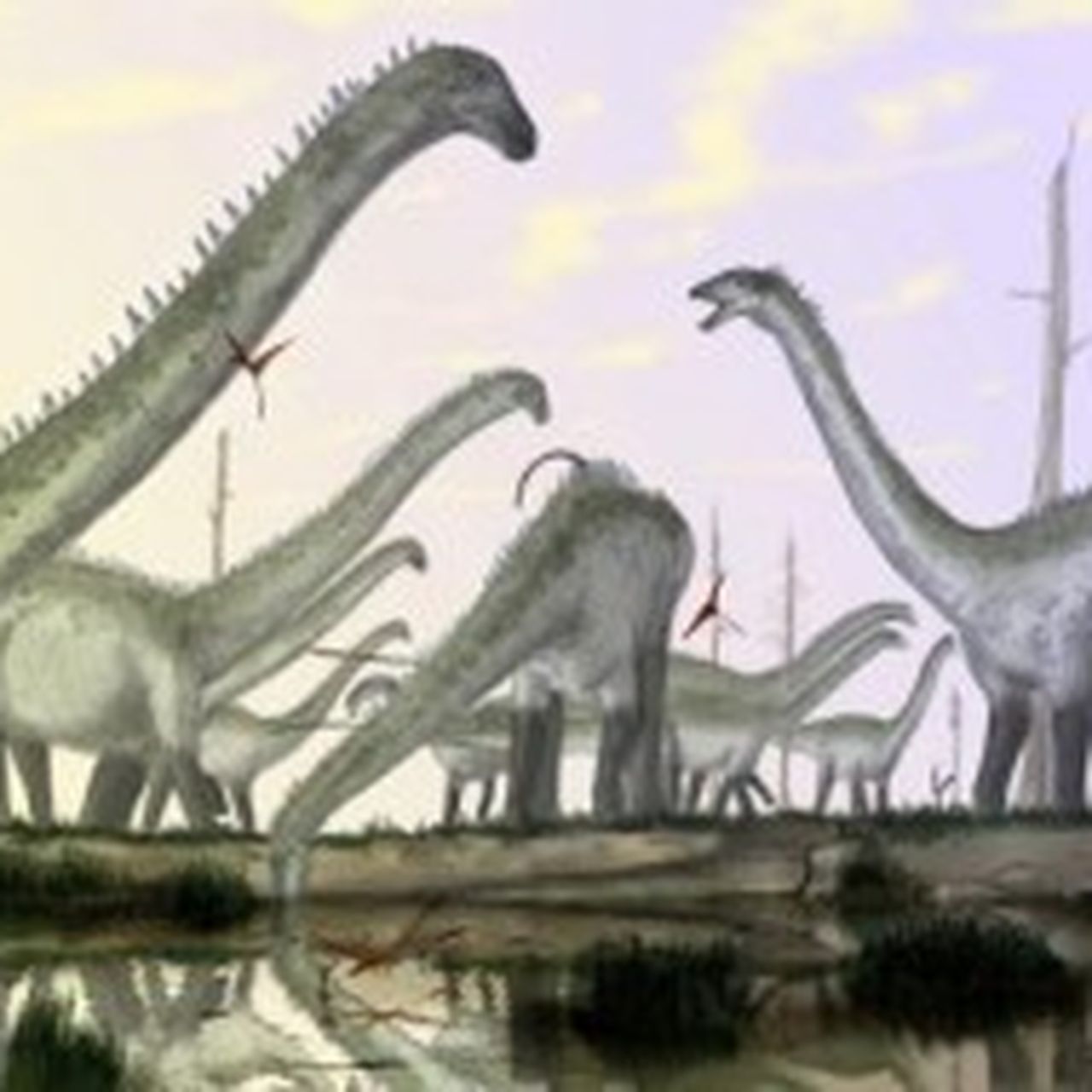 Diplodocus Sauropod