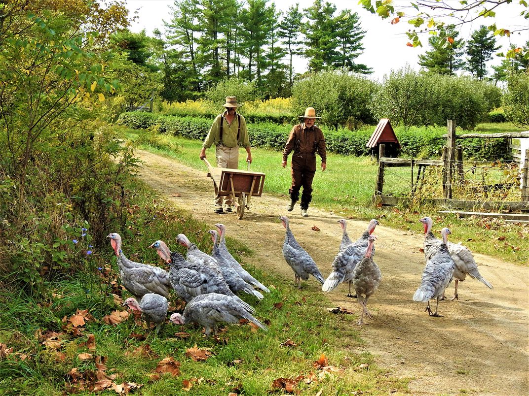 Slate Run Historical Farm: All in a Day's Work | Smithsonian Photo ...