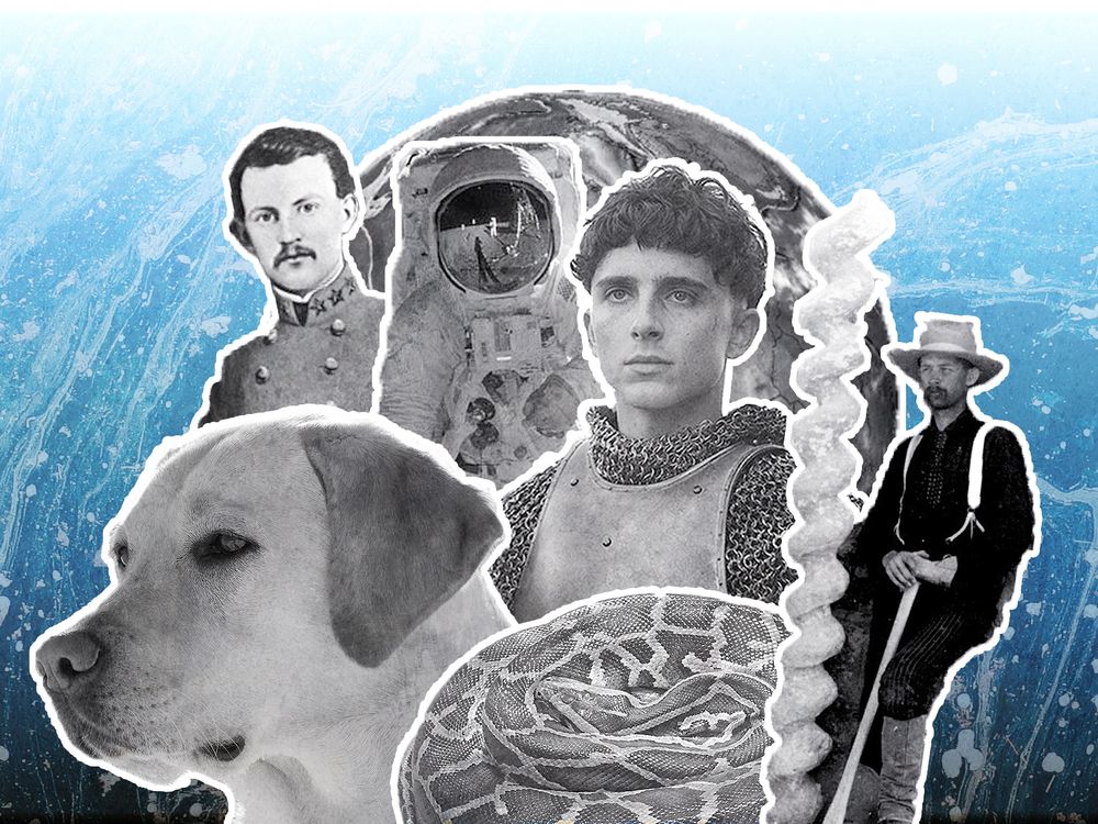 Our Top Ten Stories of 2019