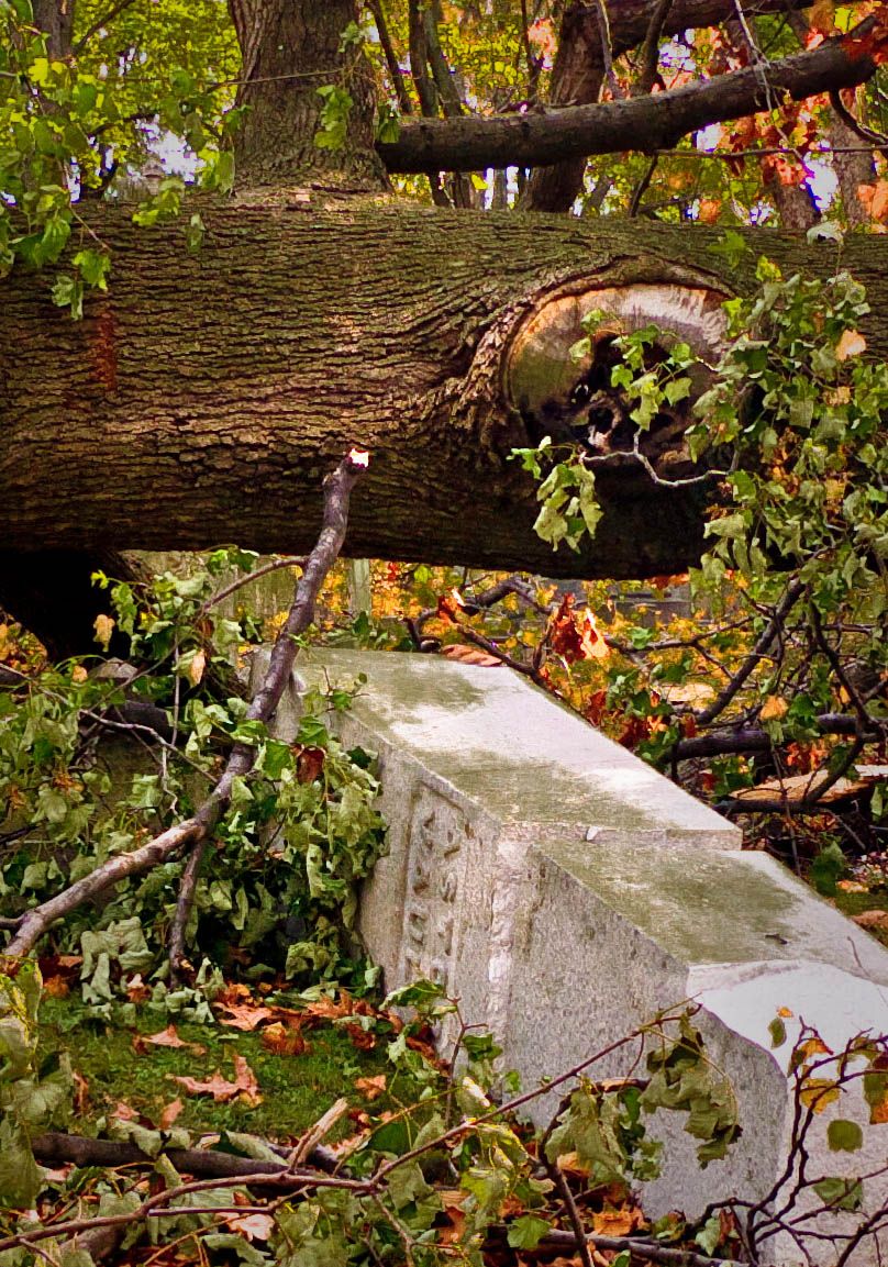 Grave of John Jacob Astor (July 17, 1763 March 29, 1848) in Trinity Church Cemetery, NYC. The ...