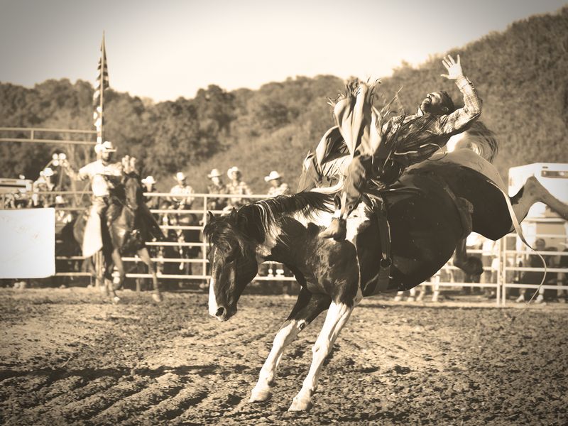 Bronc Rider | Smithsonian Photo Contest | Smithsonian Magazine