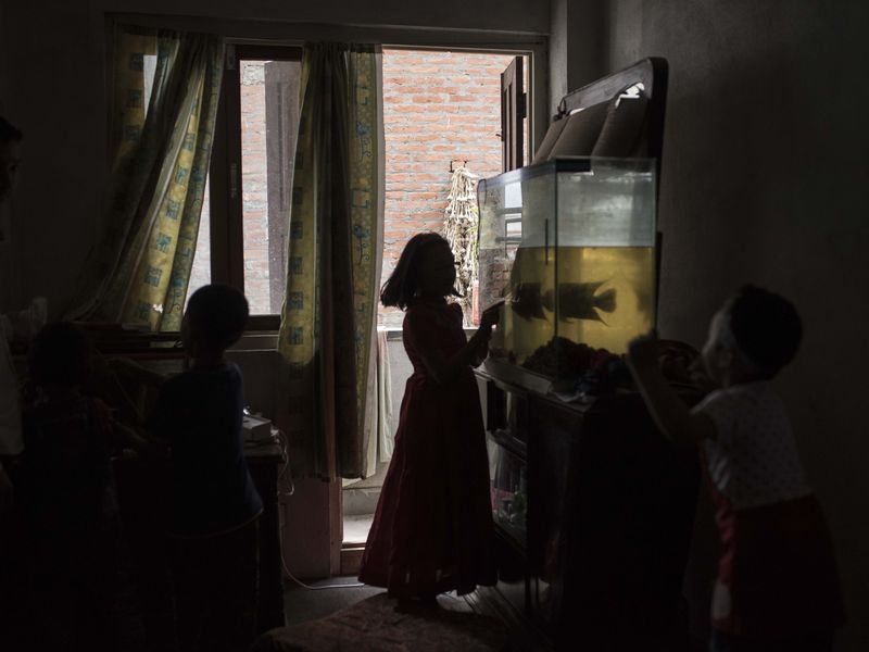 Fishbowl | Smithsonian Photo Contest | Smithsonian Magazine