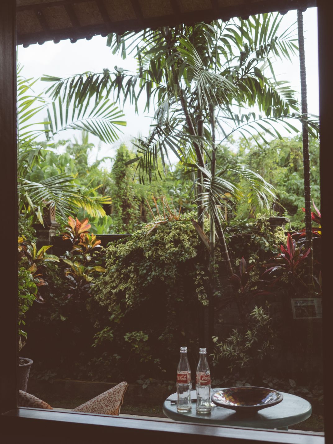 Coke on a tropical morning | Smithsonian Photo Contest | Smithsonian ...