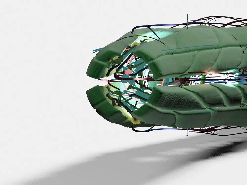 How to Create a Virtual Organism