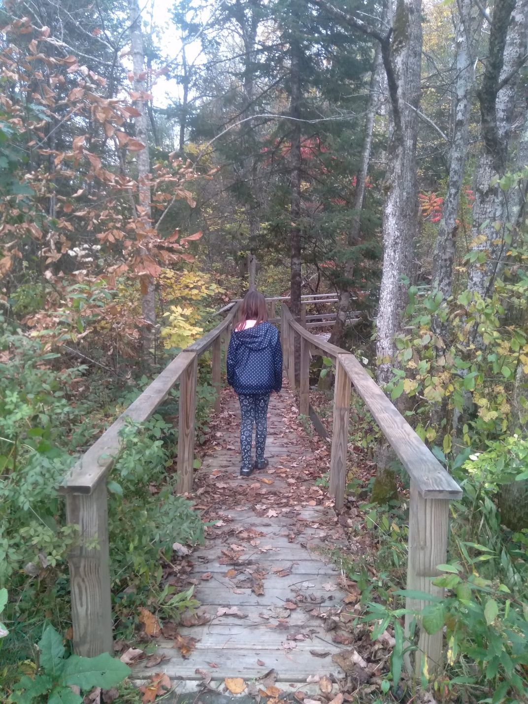 Girl just taking a Fall walk to look at the leaves. | Smithsonian Photo ...