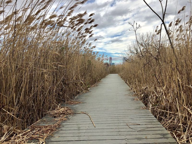 Jersey City-Caven Point | Smithsonian Photo Contest | Smithsonian Magazine