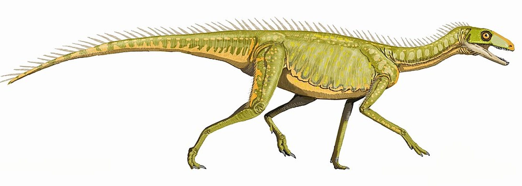 A Rare Triassic Fossil Found in Brazil Could Shed Light on the Origin ...