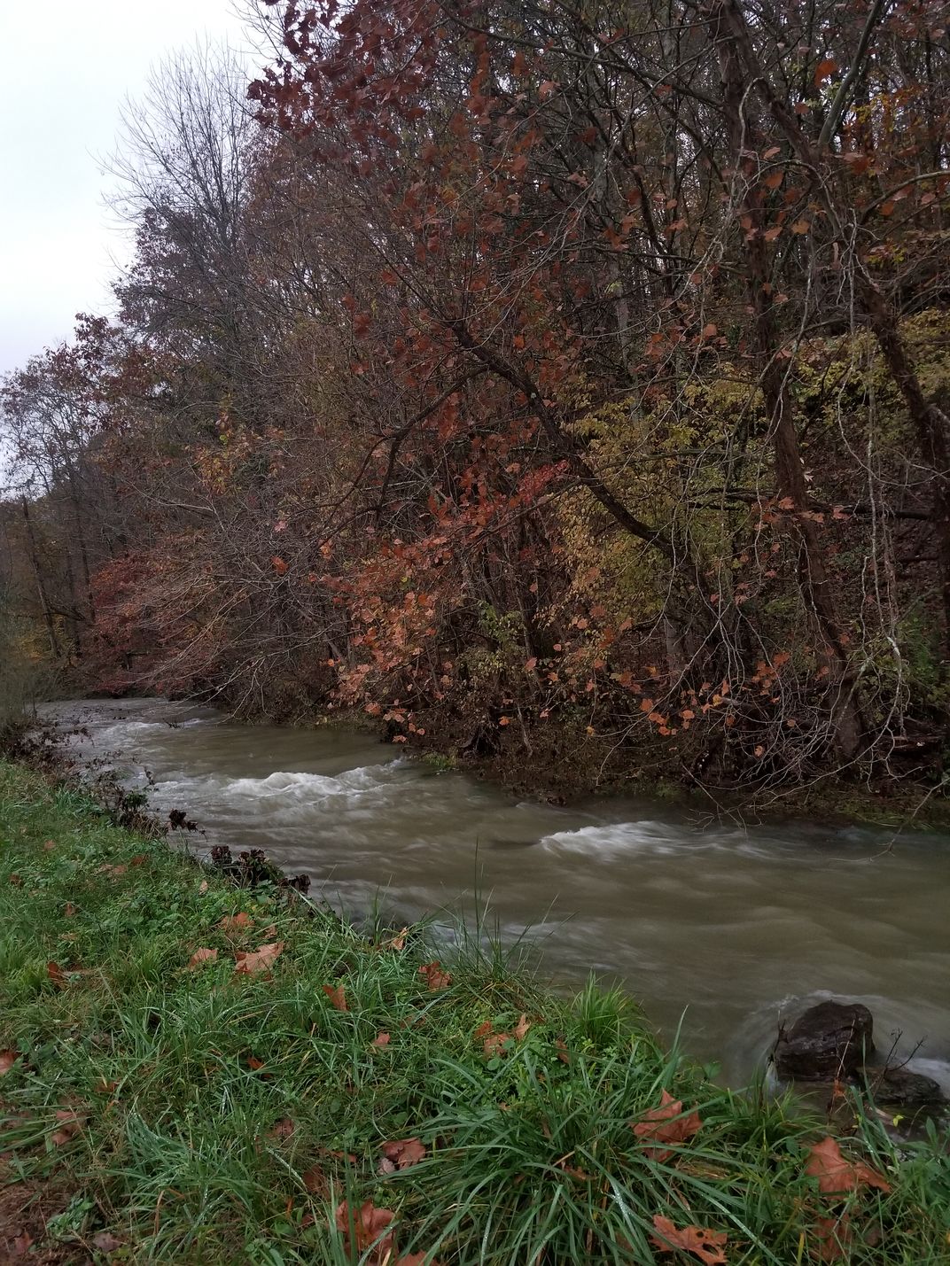 The creek after the storm | Smithsonian Photo Contest | Smithsonian ...