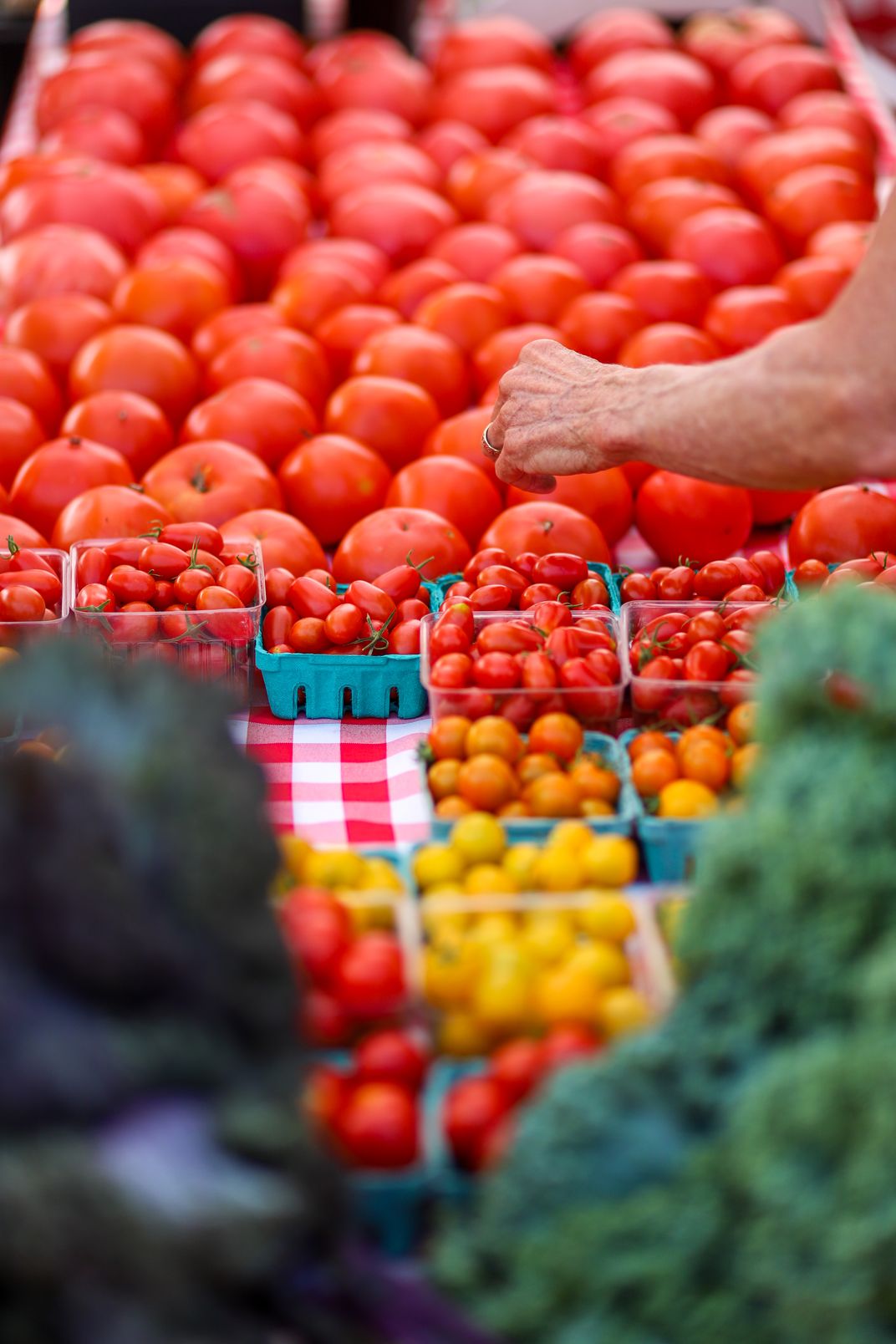 Tomatoes at the famer's market | Smithsonian Photo Contest ...