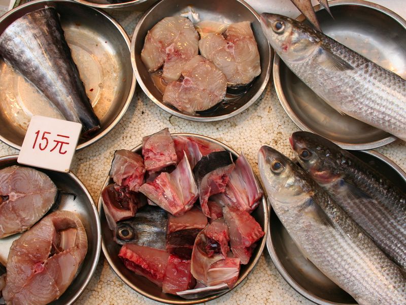 Fish in Hong Kong, Market | Smithsonian Photo Contest | Smithsonian ...