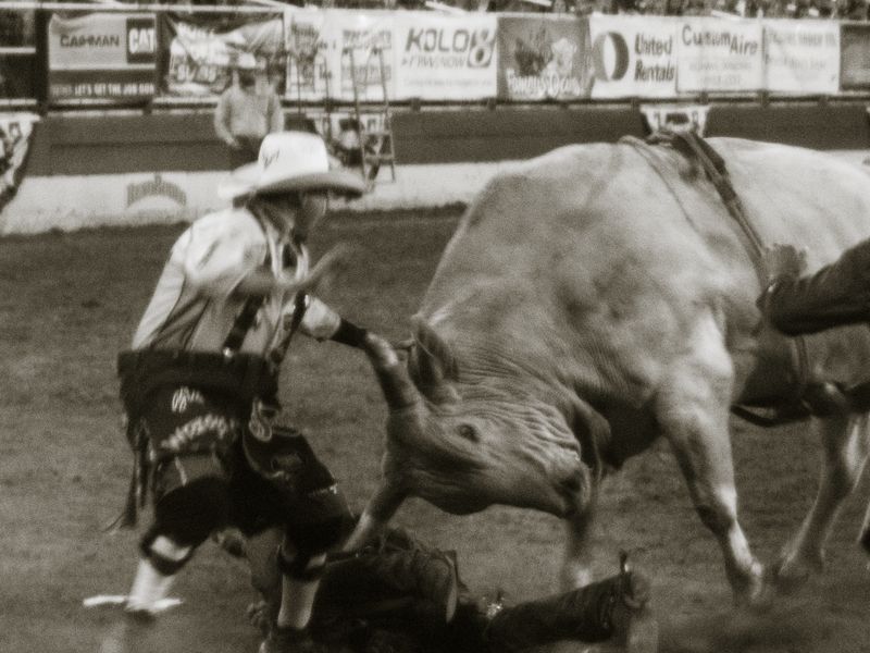 Rodeo clown tries to save a bull rider | Smithsonian Photo Contest ...