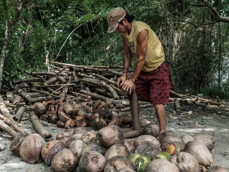 Coconut Farmer | Smithsonian Photo Contest | Smithsonian Magazine