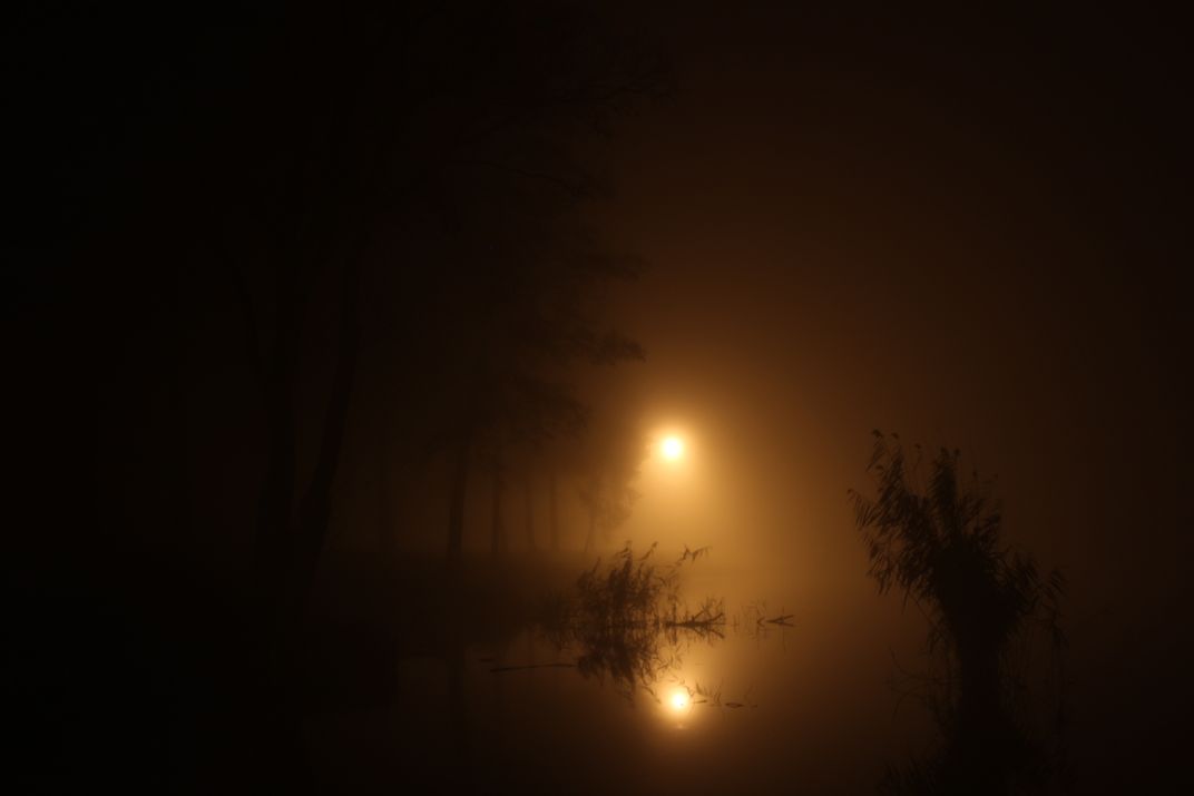 night fog in the park | Smithsonian Photo Contest | Smithsonian Magazine