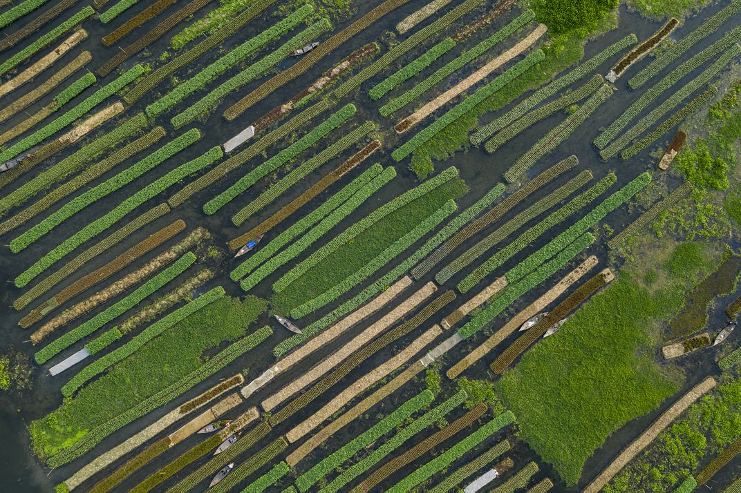 Floating Agriculture | Smithsonian Photo Contest | Smithsonian Magazine