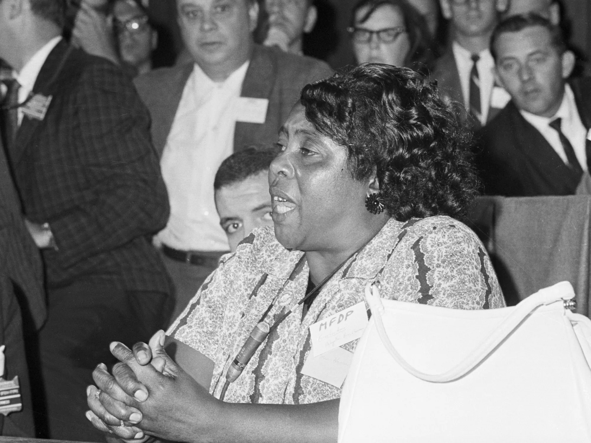 Fannie Lou Hamer's Dauntless Fight for Black Americans' Right to Vote