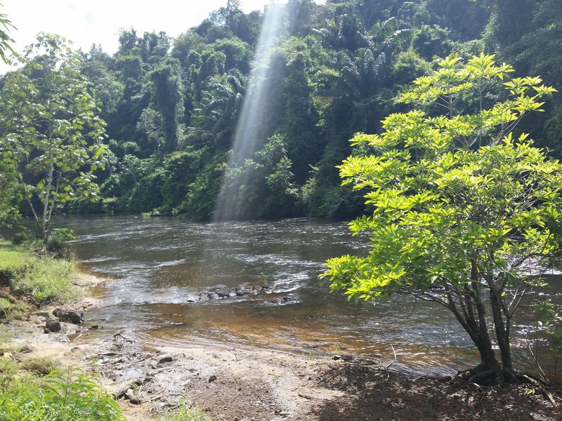Sunburst on river in Suriname back into the rainforest | Smithsonian ...