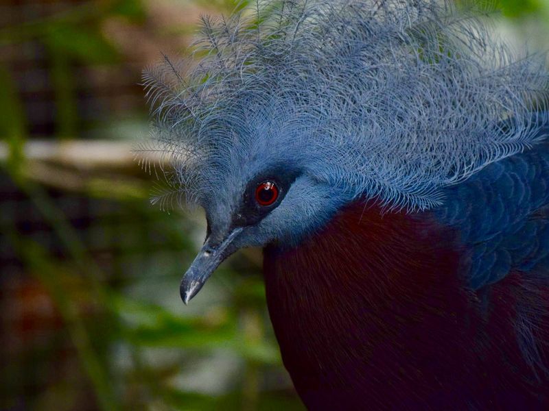 Red Eye | Smithsonian Photo Contest | Smithsonian Magazine