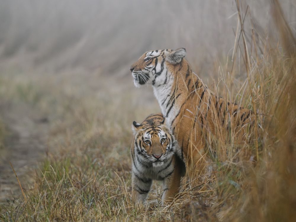 Grassland magic | Smithsonian Photo Contest | Smithsonian Magazine