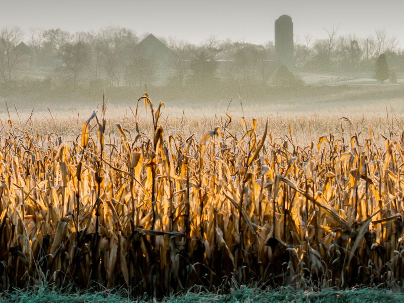 Frosty Fall Morning | Smithsonian Photo Contest | Smithsonian Magazine