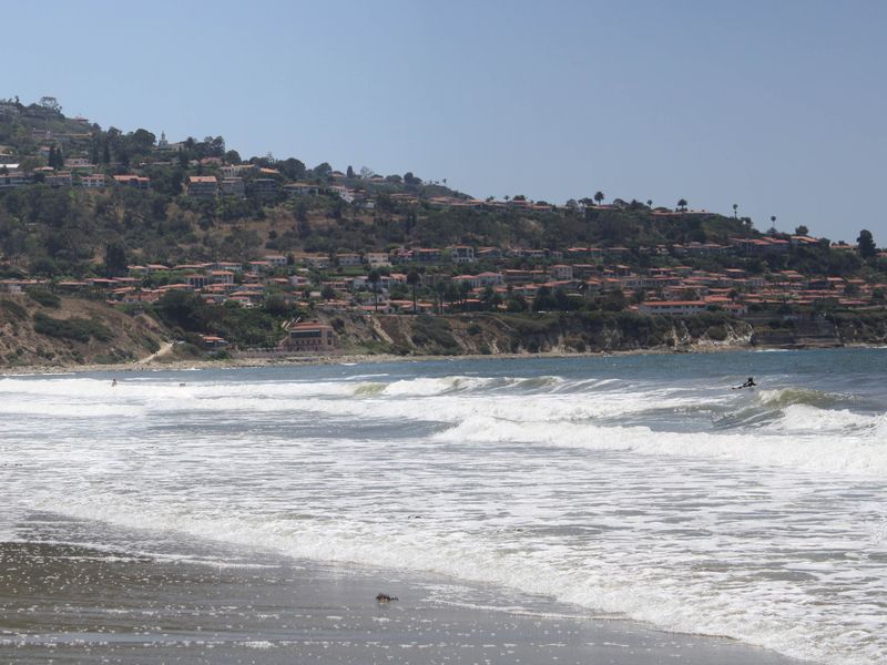 At the beach in Torrance California | Smithsonian Photo Contest ...
