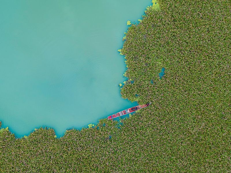 Marsh from Above | Smithsonian Photo Contest | Smithsonian Magazine