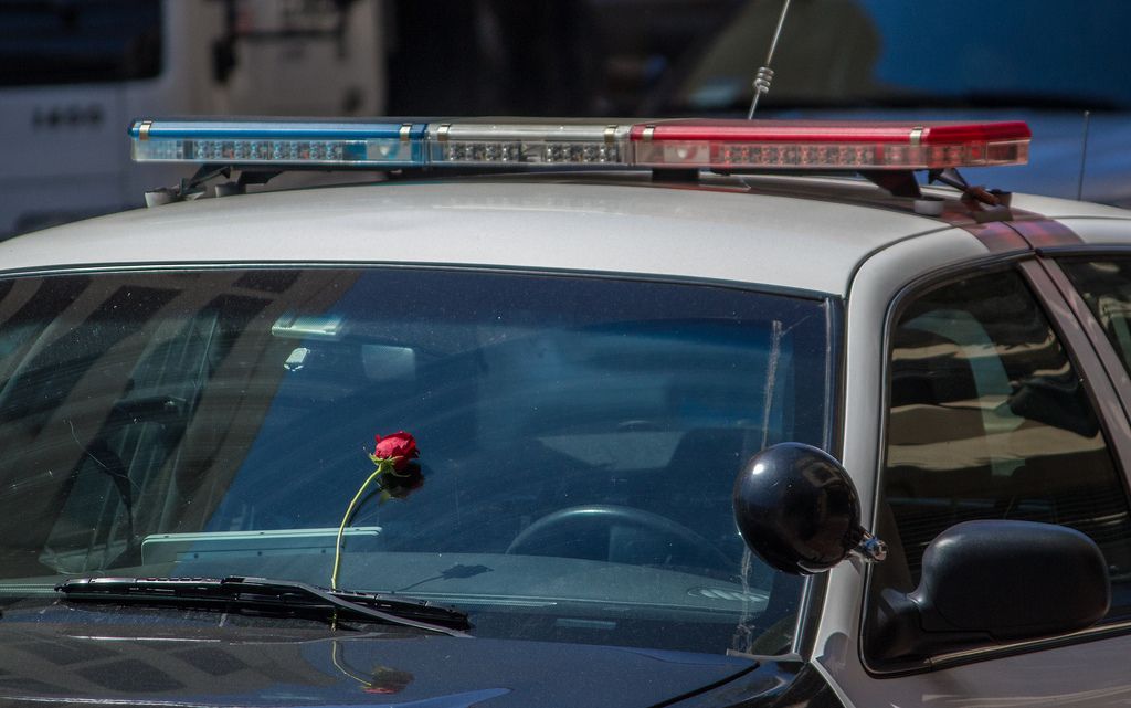 A rose on the dashboard of a downtown police vehicle. | Smithsonian ...