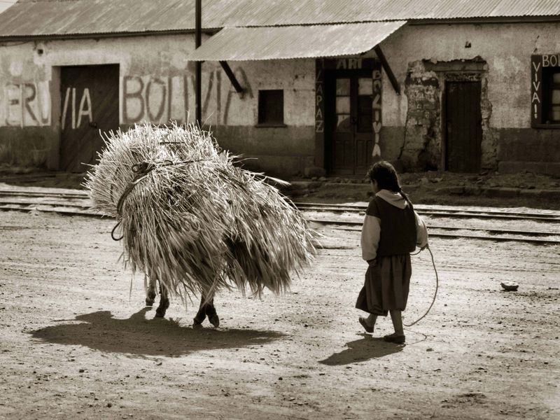 Bolivian children working | Smithsonian Photo Contest | Smithsonian ...