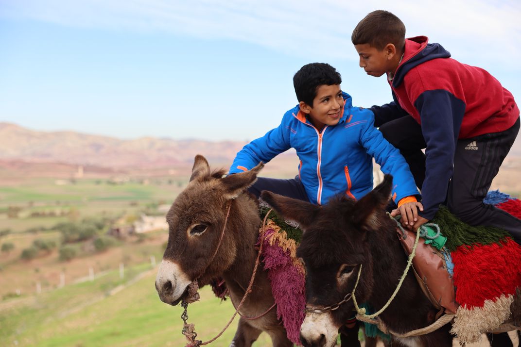 Boys on donkeys moving for photo | Smithsonian Photo Contest ...