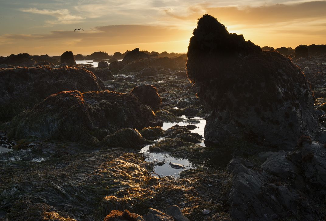 Red Coast | Smithsonian Photo Contest | Smithsonian Magazine